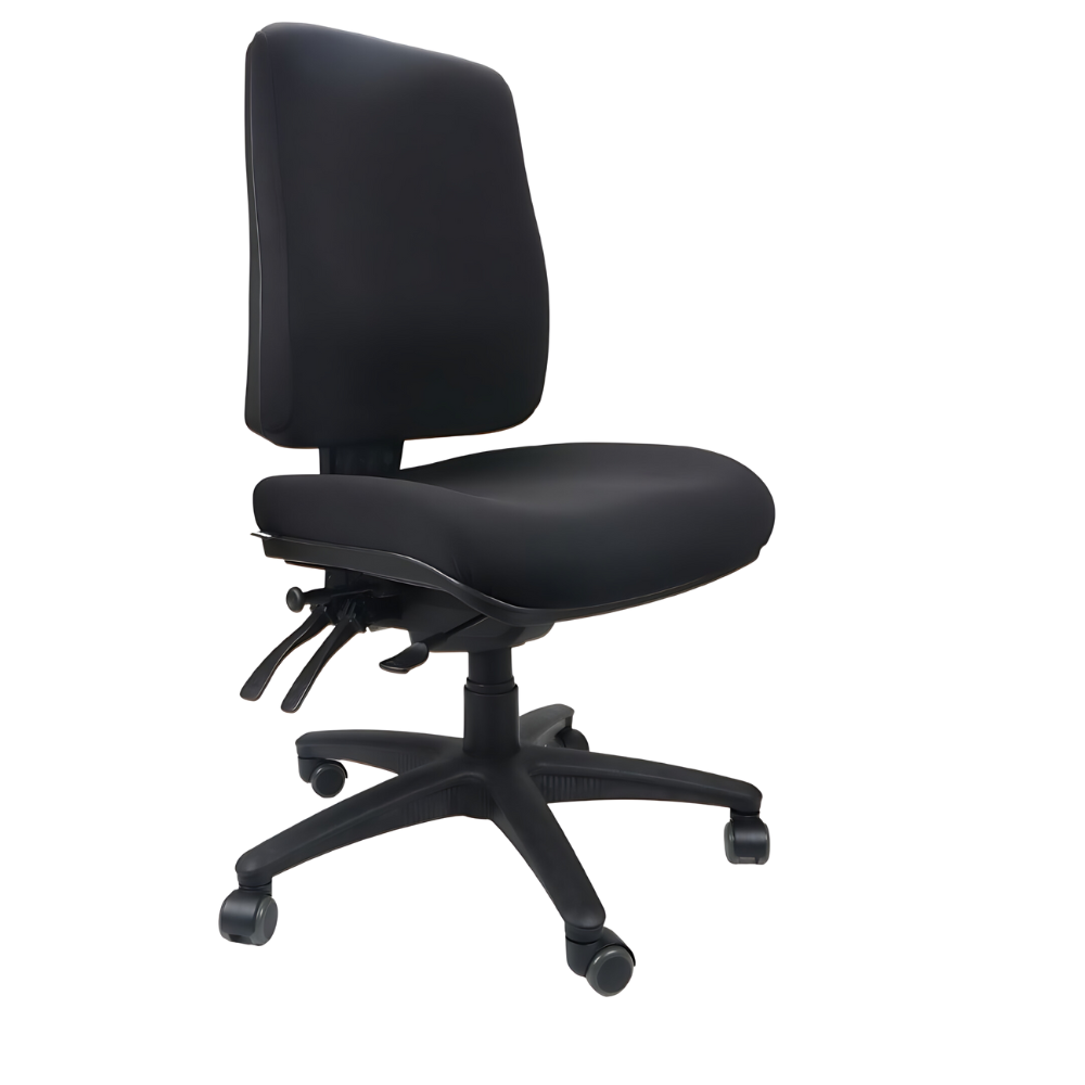 Ergoform High Back Ergonomic Office Chair for Executive Comfort