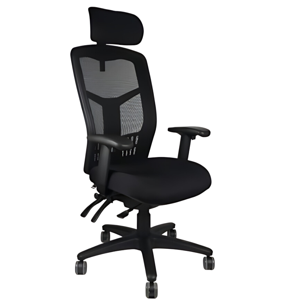 Deluxe Ergonomic Mesh Chair with Superior Support