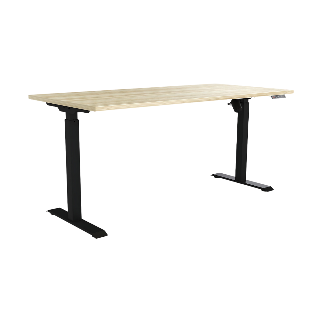 Adjustable Quick Stand Desk – Versatile & Sturdy